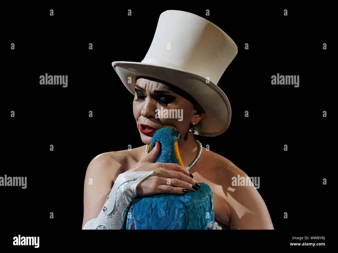 Circus parrot hi-res stock photography and images - Alamy