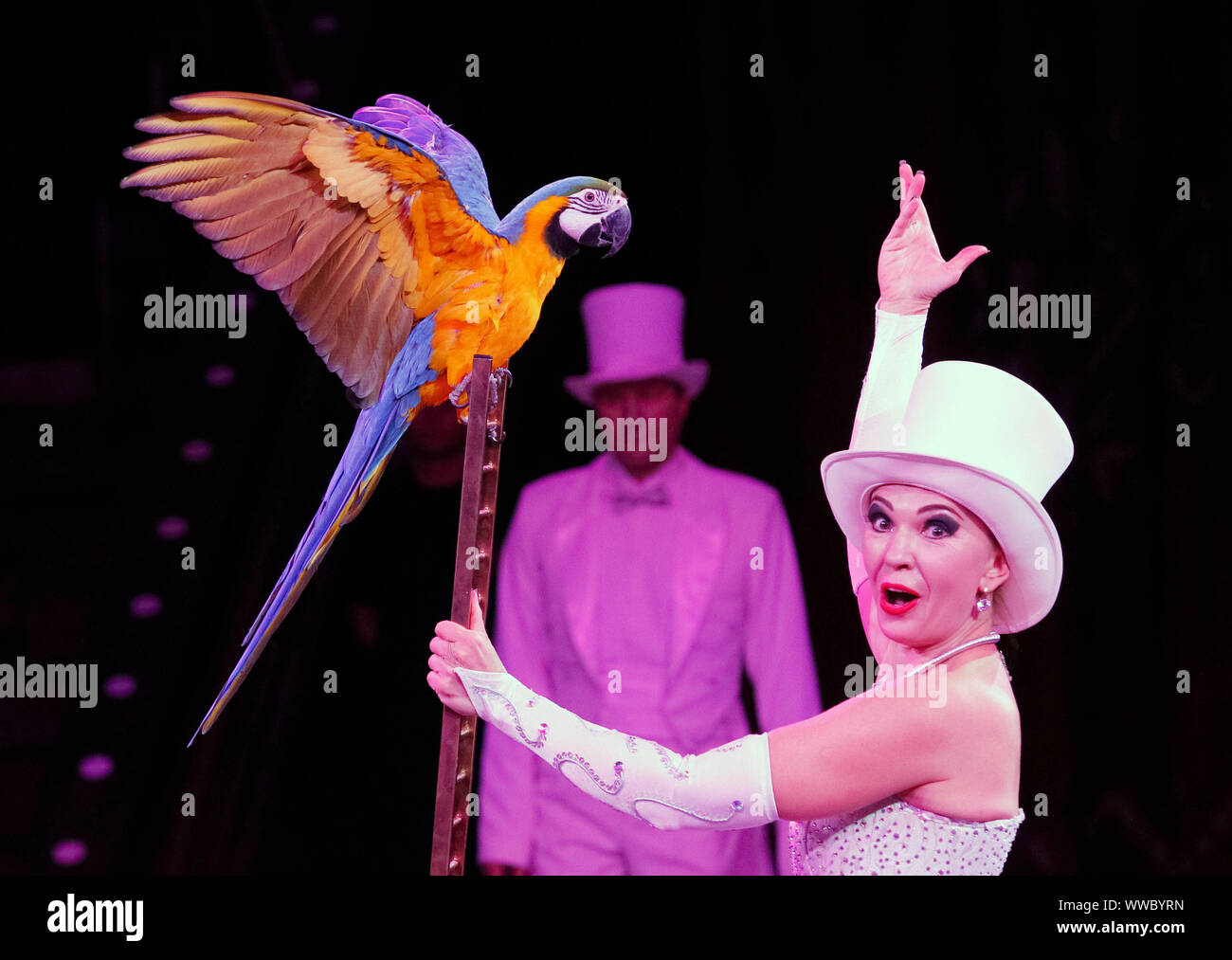 Circus parrot hi-res stock photography and images - Alamy