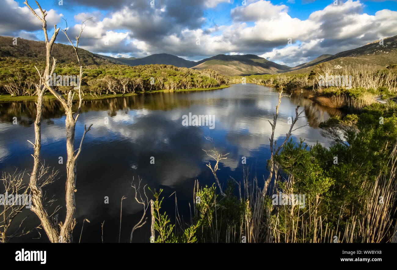 Reflections in Tidal River, Wilsons Promontory National Park, Victoria, Australia Stock Photo ...