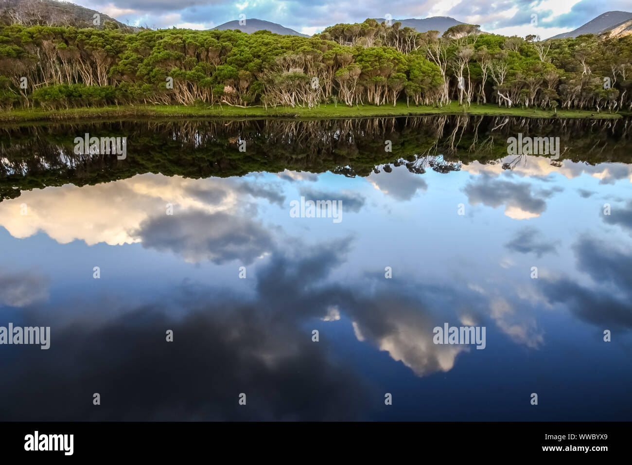 Reflections in Tidal River, Wilsons Promontory National Park, Victoria ...