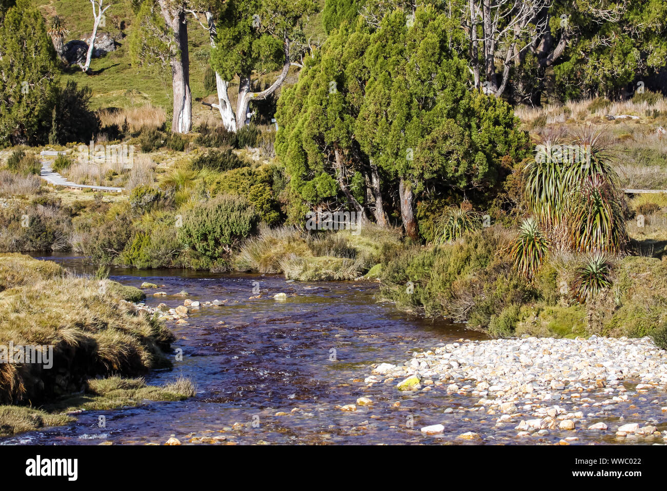 Meadow riverside forest hi-res stock photography and images - Alamy
