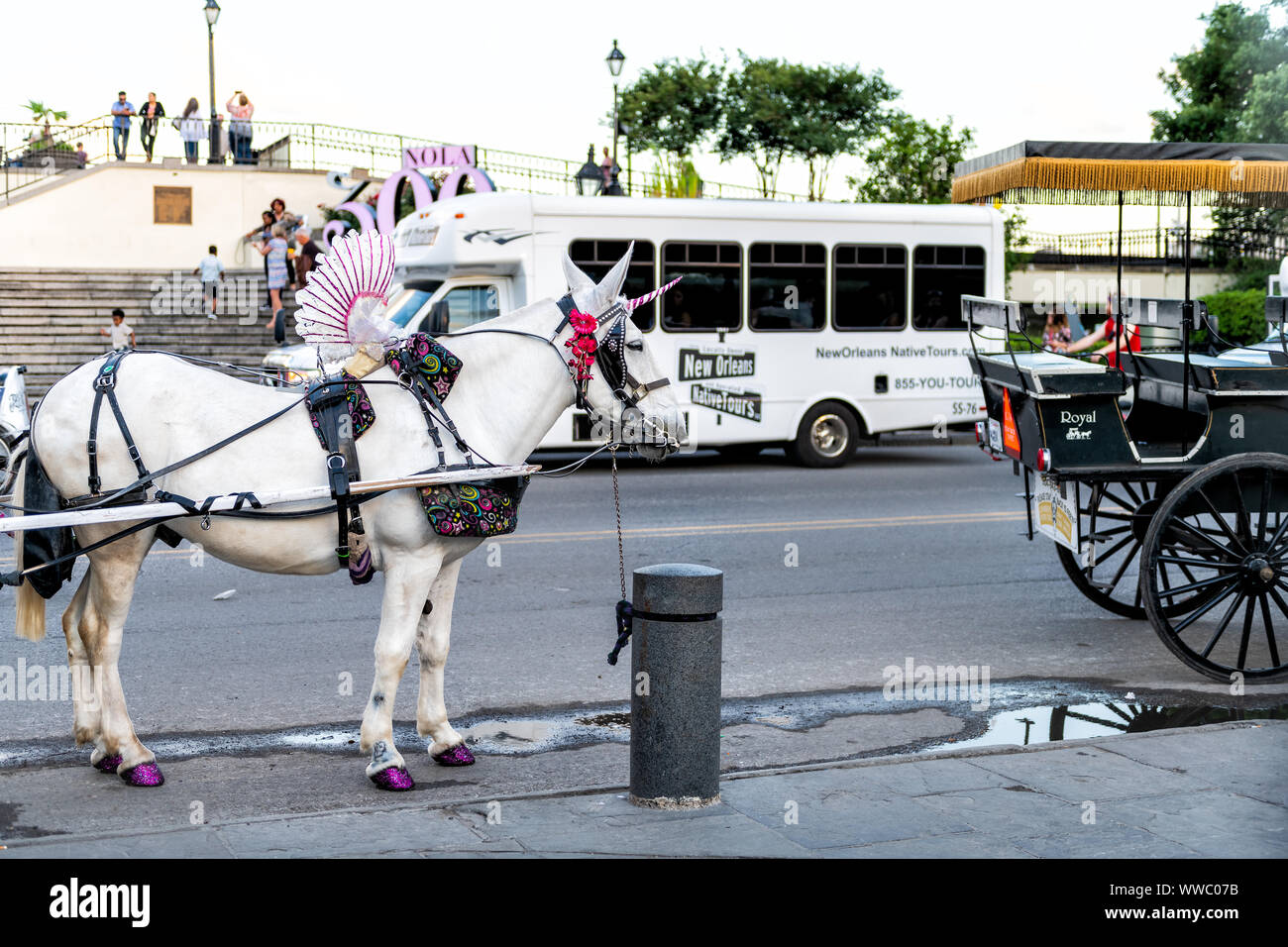 New orleans jackson square carriage hi-res stock photography and images ...