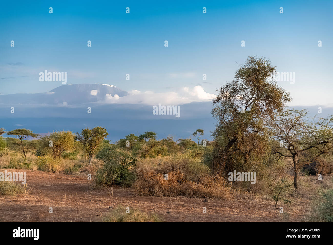 View of the Kilimandjaro mountain in Tanzania, with the savannah ...