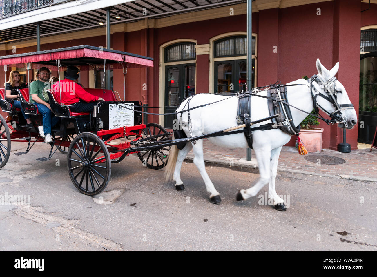 Buggy tour hi-res stock photography and images - Alamy