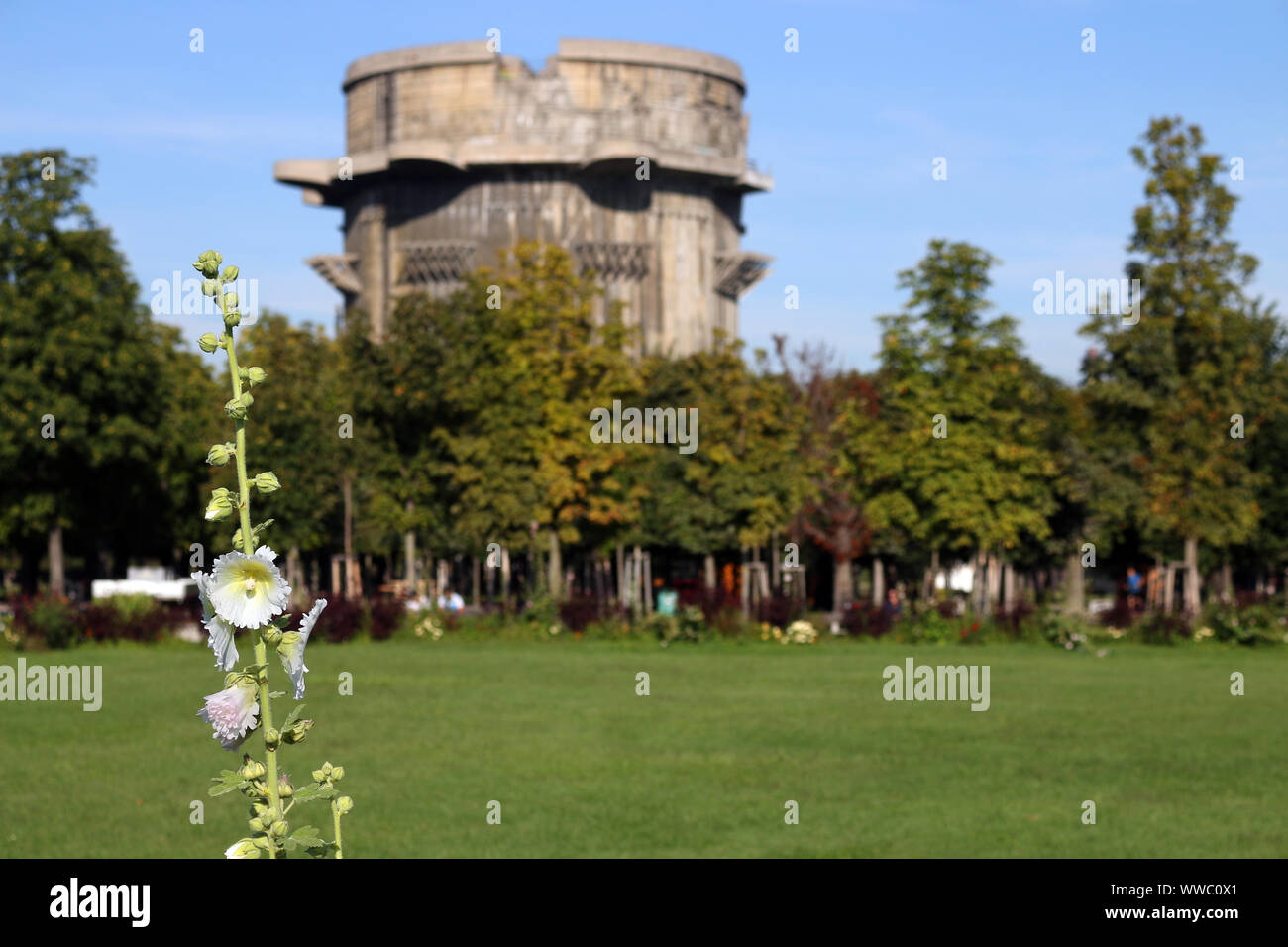 Flower aircraft hi-res stock photography and images - Alamy