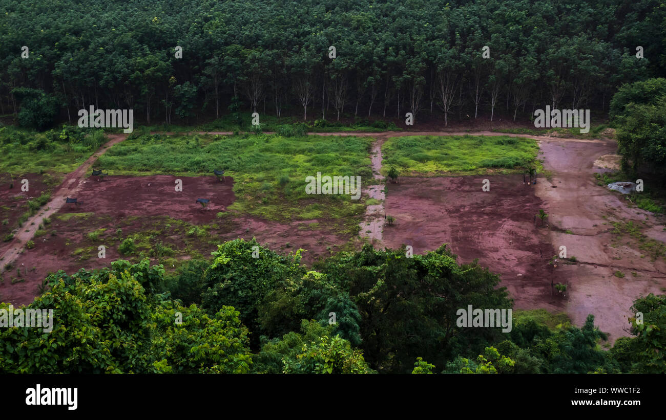 Deforestation: Scarred earth where tropical rain forest has been ...