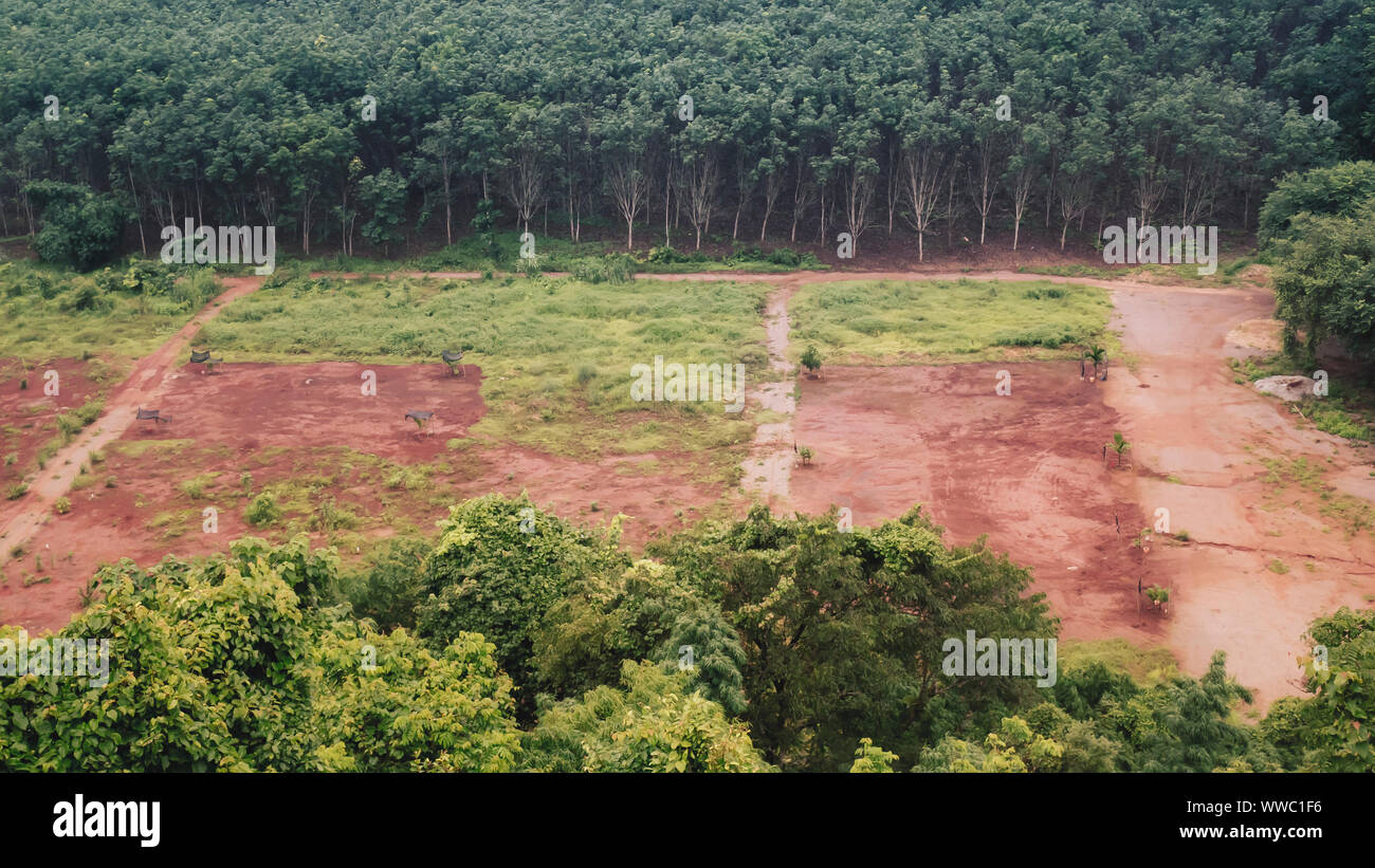 Deforestation: Scarred earth where tropical rain forest has been ...