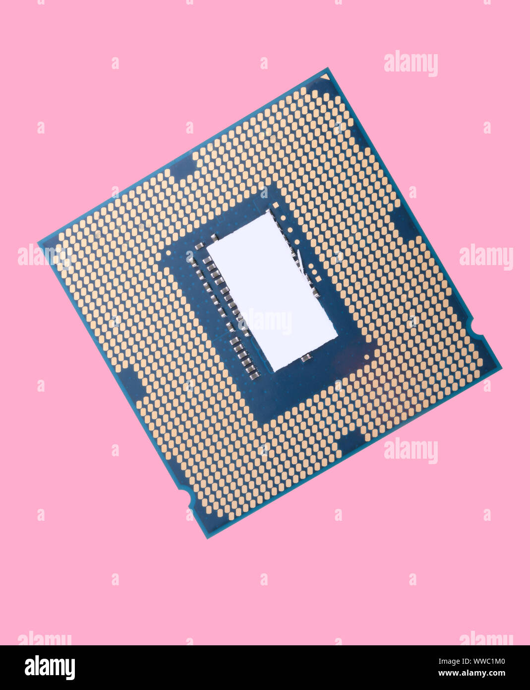 central Processor unit isolated on pink background at dry sunny day ...