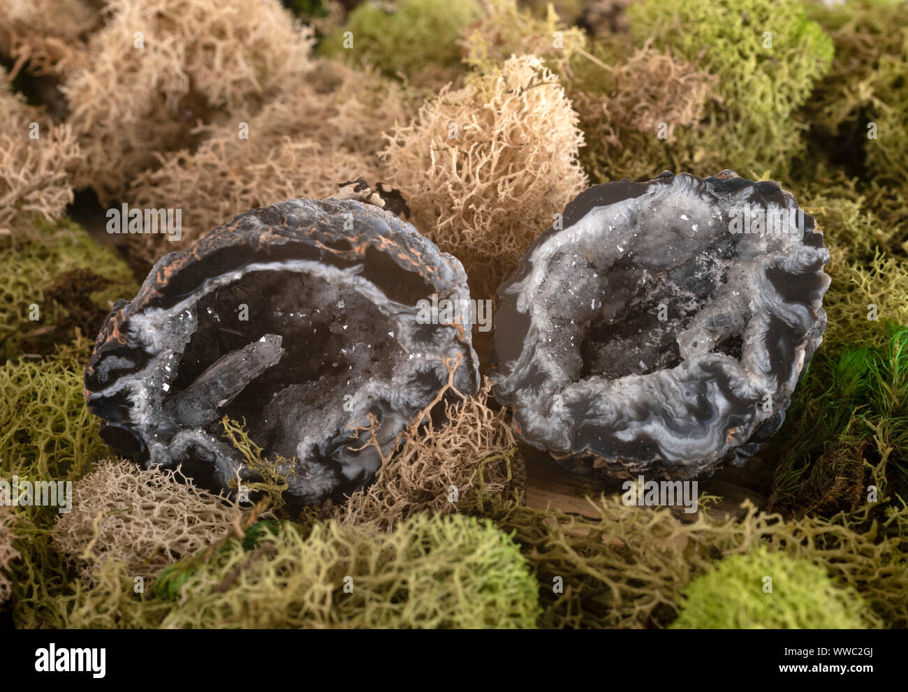 quartz geode in front of white background Stock Photo - Alamy