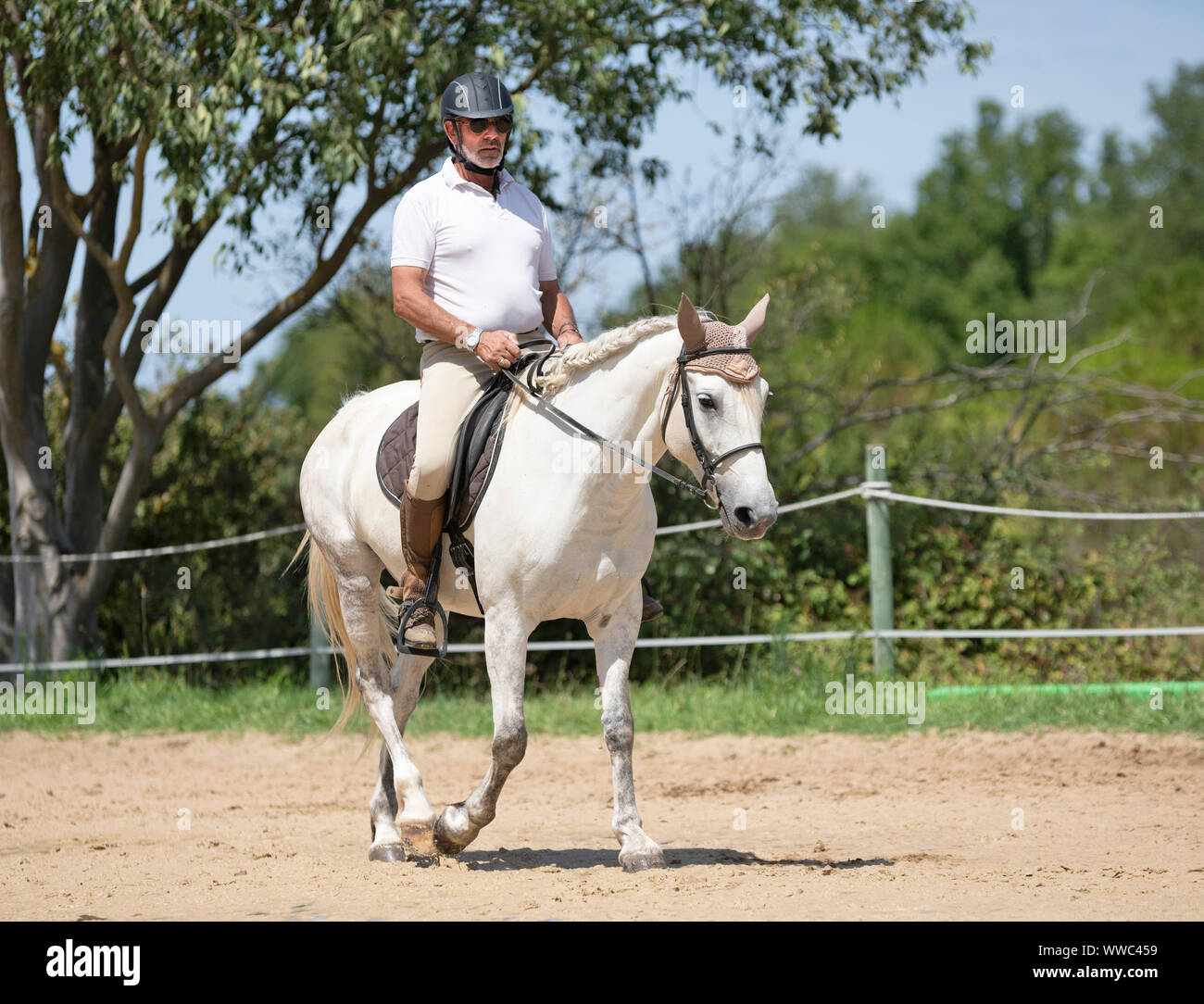 riding man, are training her young horse Stock Photo - Alamy