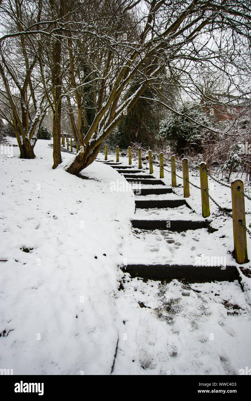 Chain Tree Steps High Resolution Stock Photography and Images - Alamy