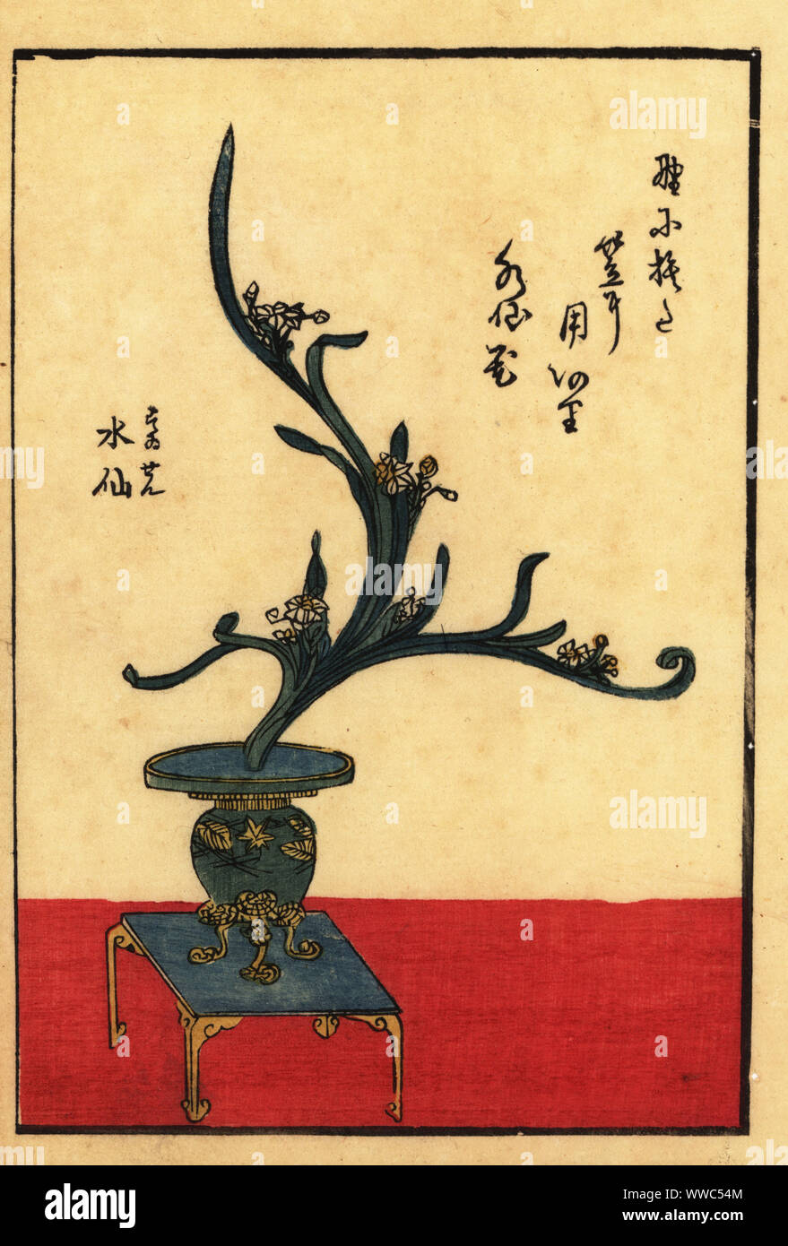 Japanese flower arrangement with daffodil, vase and tray. Handcoloured ...