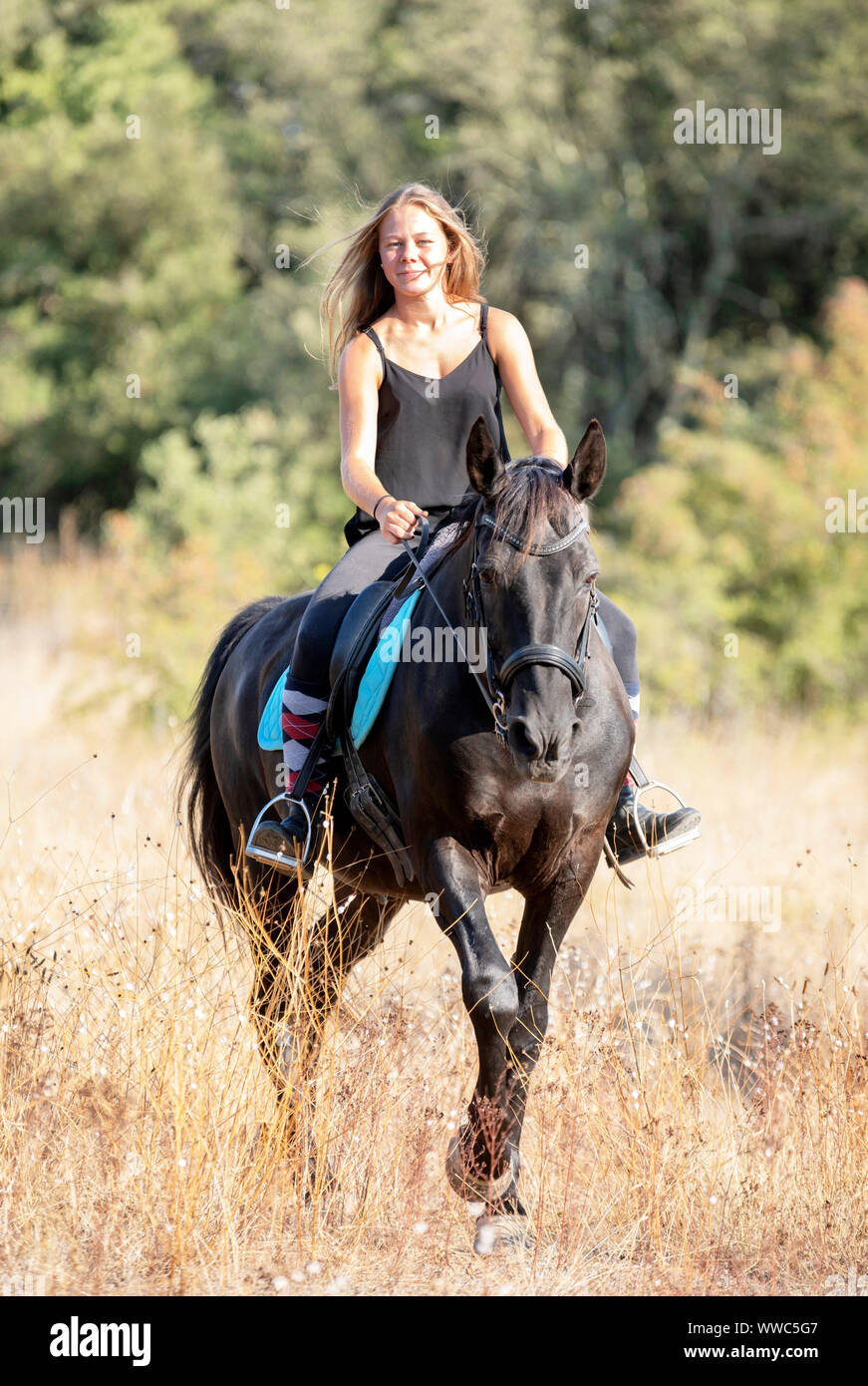 riding girl are training her black horse Stock Photo - Alamy