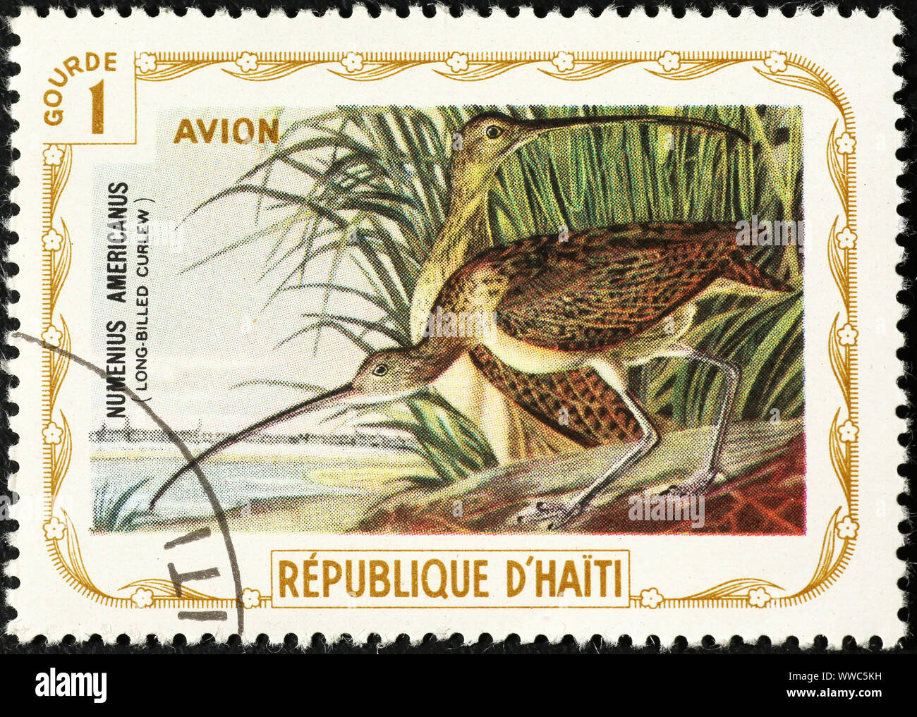 Long-billed curlew painted by Audobon on postage stamp Stock Photo - Alamy