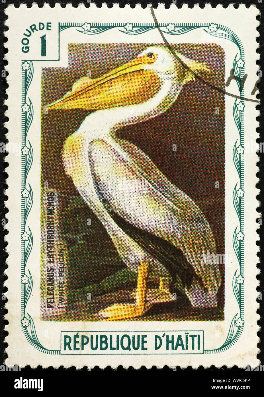 White Pelican painted by Audobon on postage stamp Stock Photo - Alamy