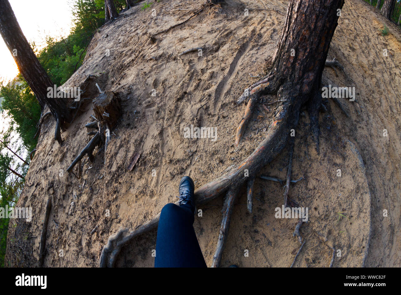 Low section shot of woman legs hiking in forest Stock Photo - Alamy