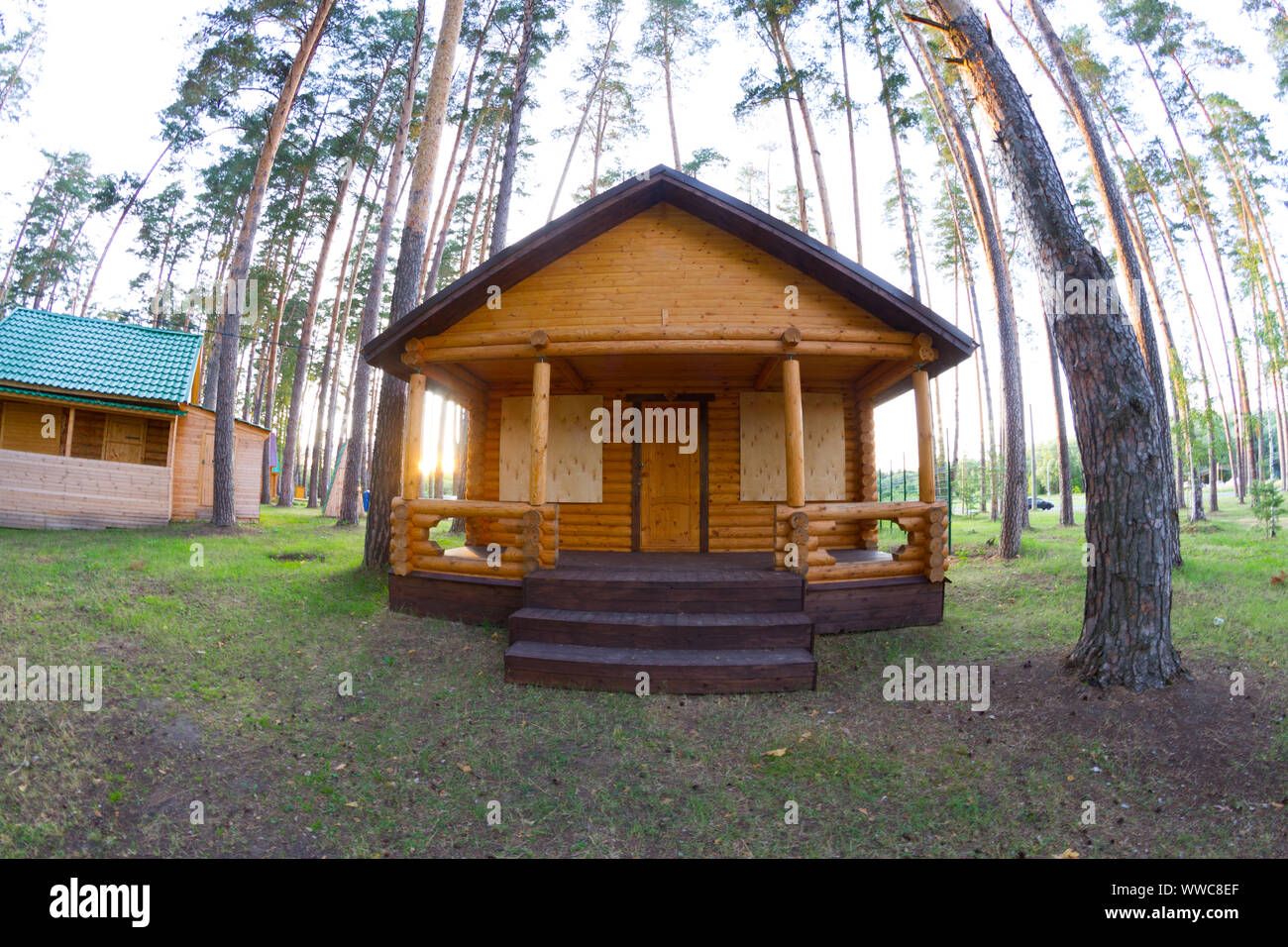 Wooden house in pine tree forest. Warm sunlight Stock Photo - Alamy
