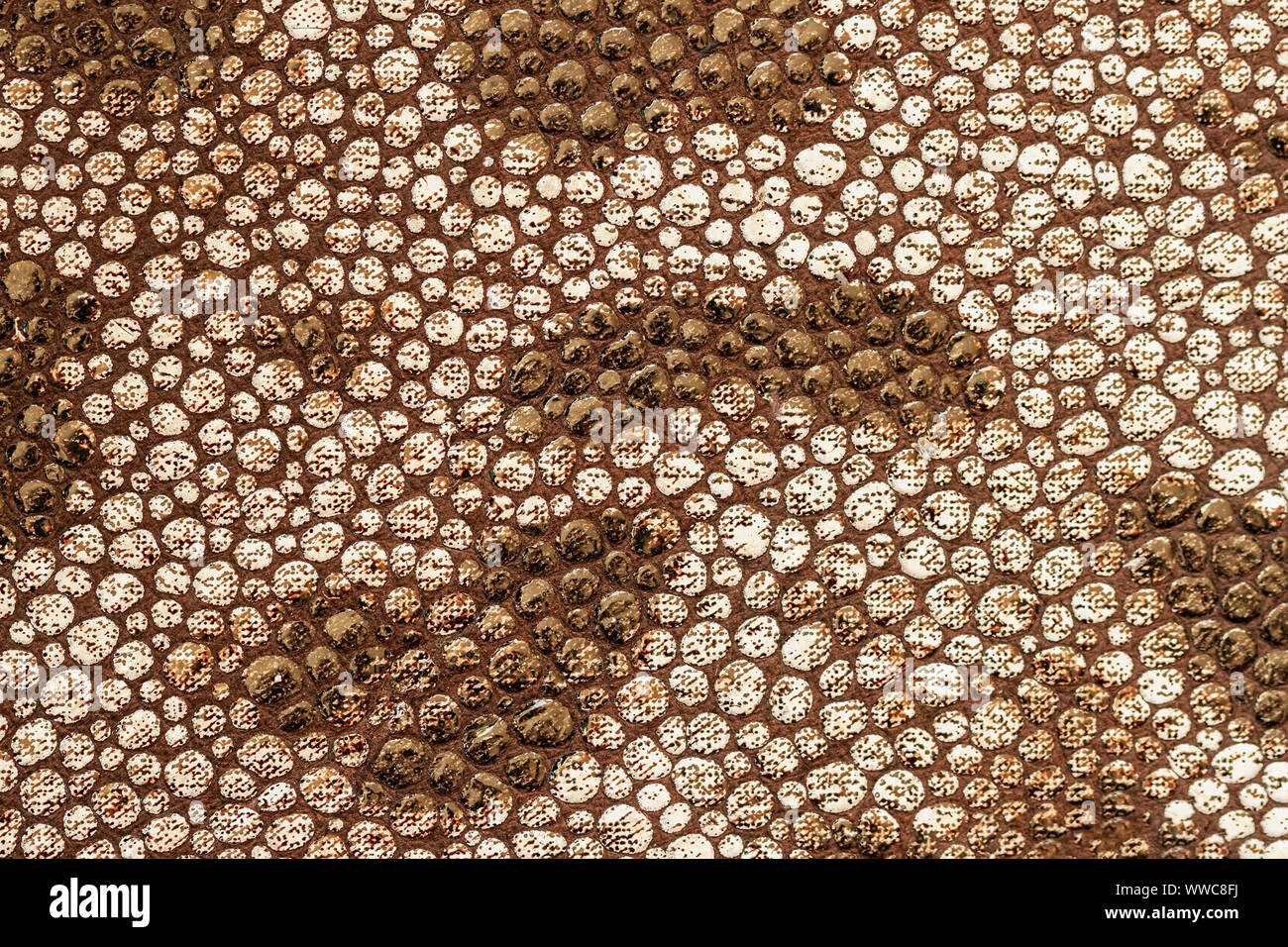 Bright texture of genuine leather close-up, embossed under skin of ...