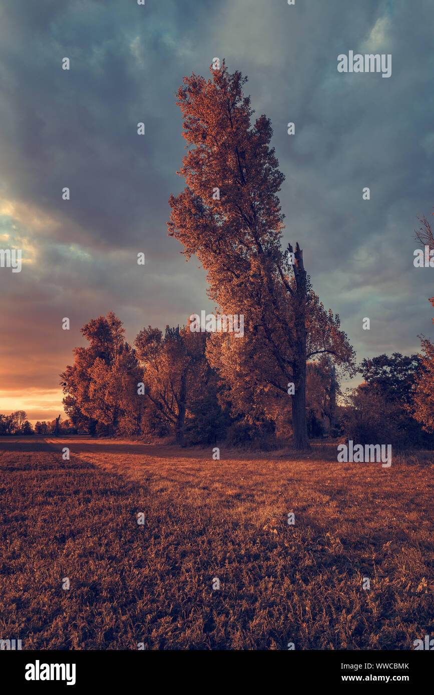 Indian summer autumn hi-res stock photography and images - Alamy