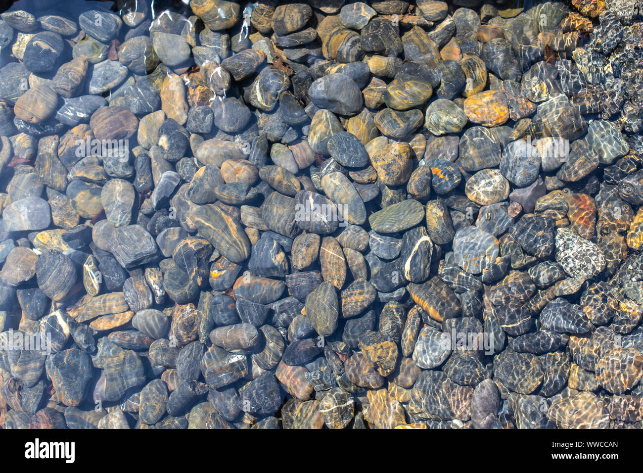 Texture of wet pebbles. Smooth pebbles under clear water. Striped ...