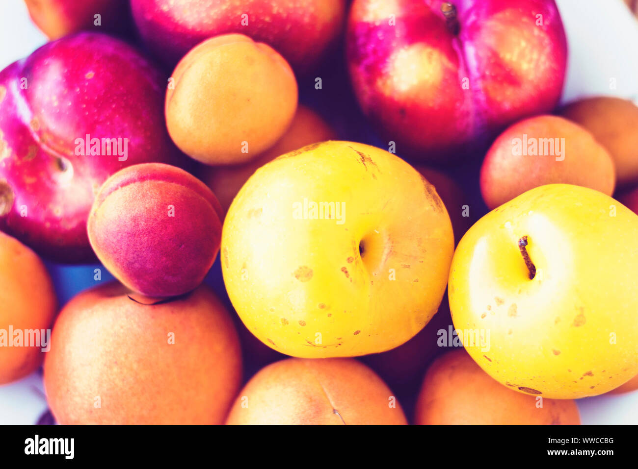 Fresh whole fruits plums, peaches, apricots background , top view Stock ...