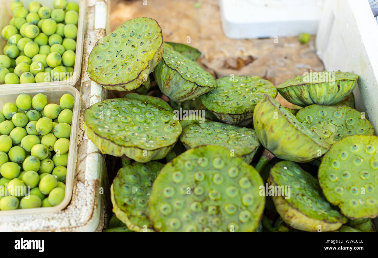 Green lotus. Unripe lotus flower. Lotus seeds. Edible exotic flower ...