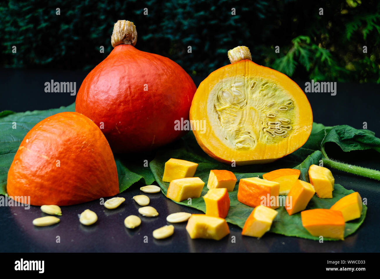 Pumkin blossom hi-res stock photography and images - Alamy