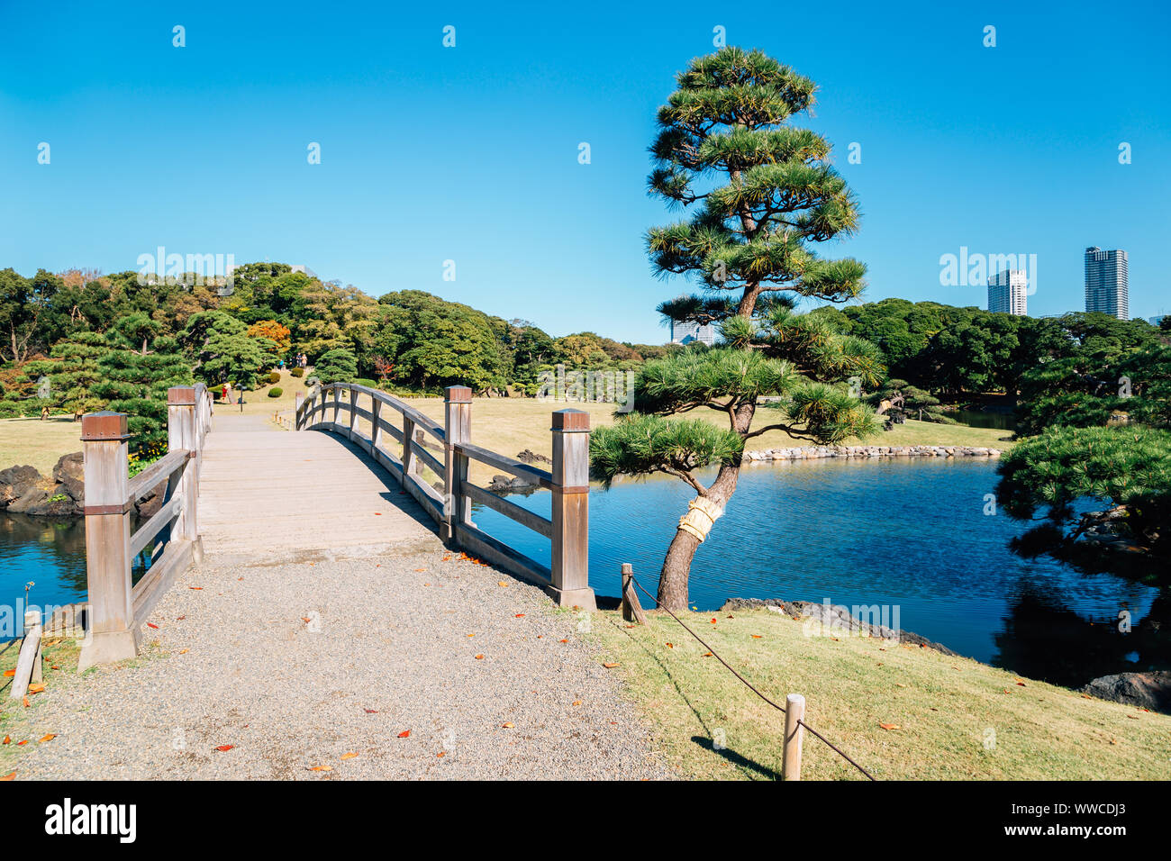 Hamarikyu Gardens in Tokyo, Japan Stock Photo - Alamy