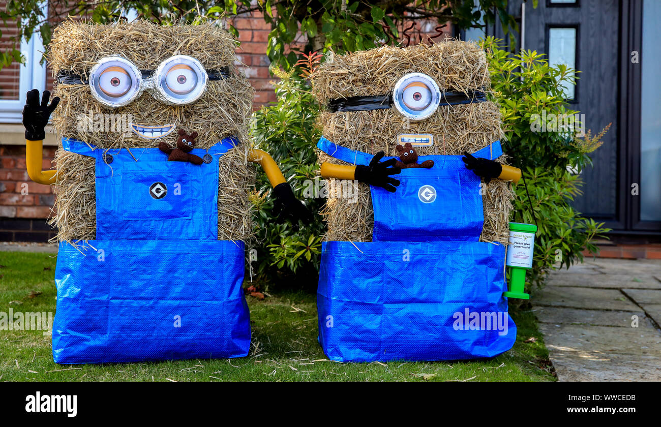 Minions scarecrows during the annual Charnock Richard Scarecrow ...