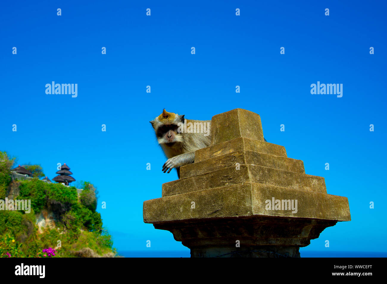 Monkey temple bali indonesia hi-res stock photography and images - Alamy