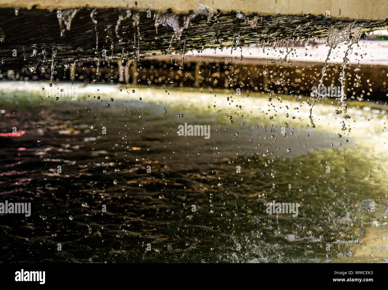 water drops ornamental pool close-up photo Stock Photo - Alamy