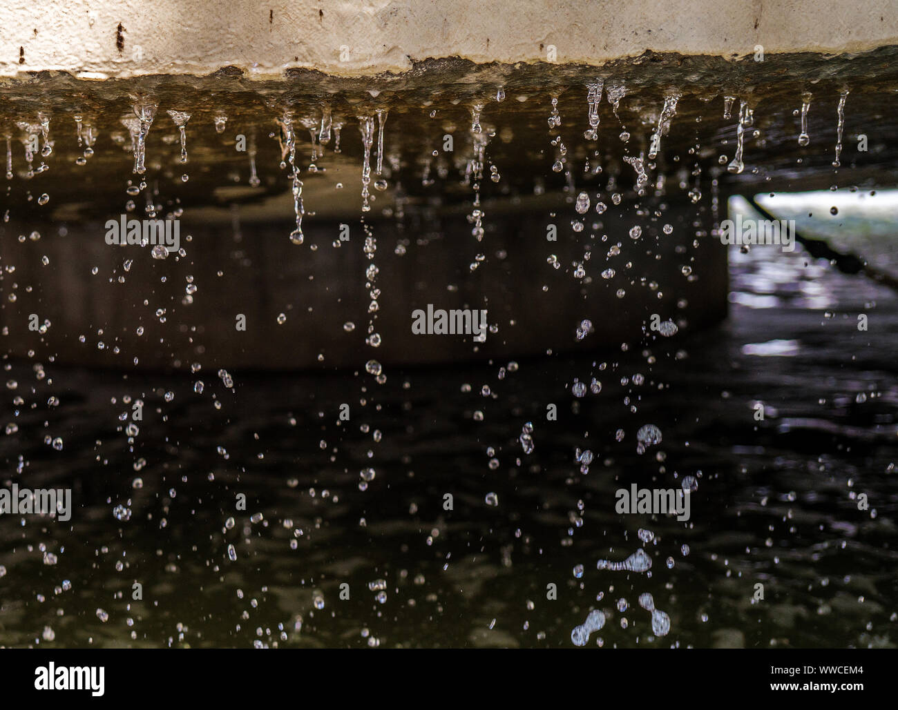 water drops ornamental pool close-up photo Stock Photo - Alamy