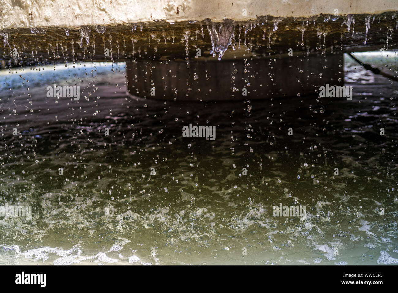water drops ornamental pool close-up photo Stock Photo - Alamy