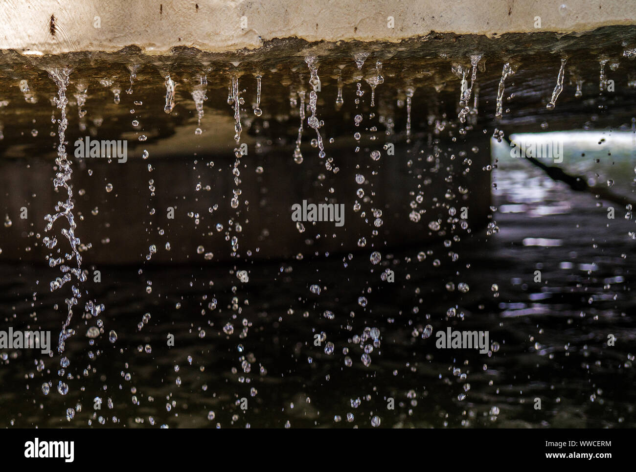 water drops ornamental pool close-up photo Stock Photo - Alamy
