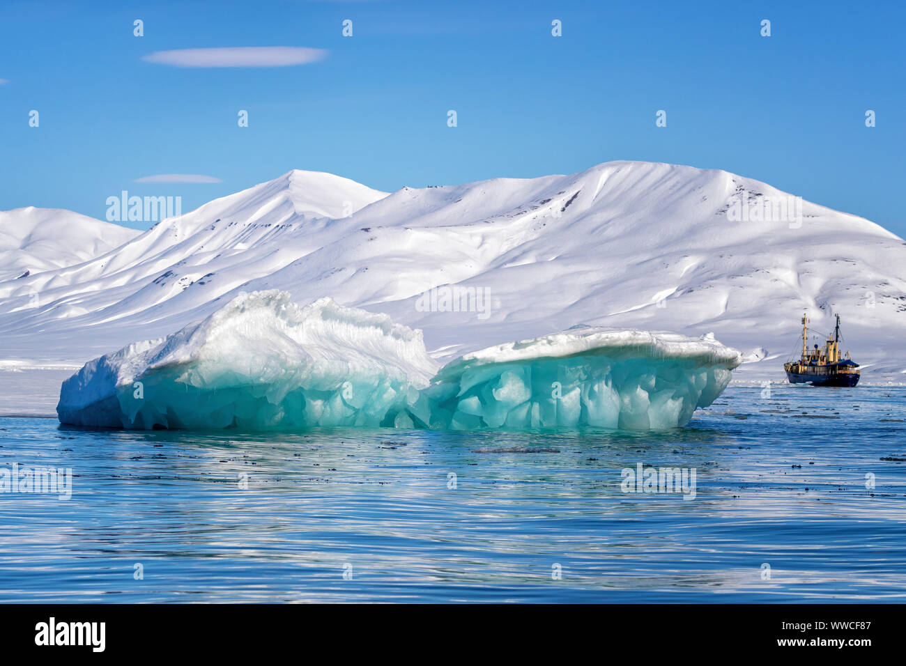 Blue ice iceberg, formed when a glacier calves, floating in the arctic ...