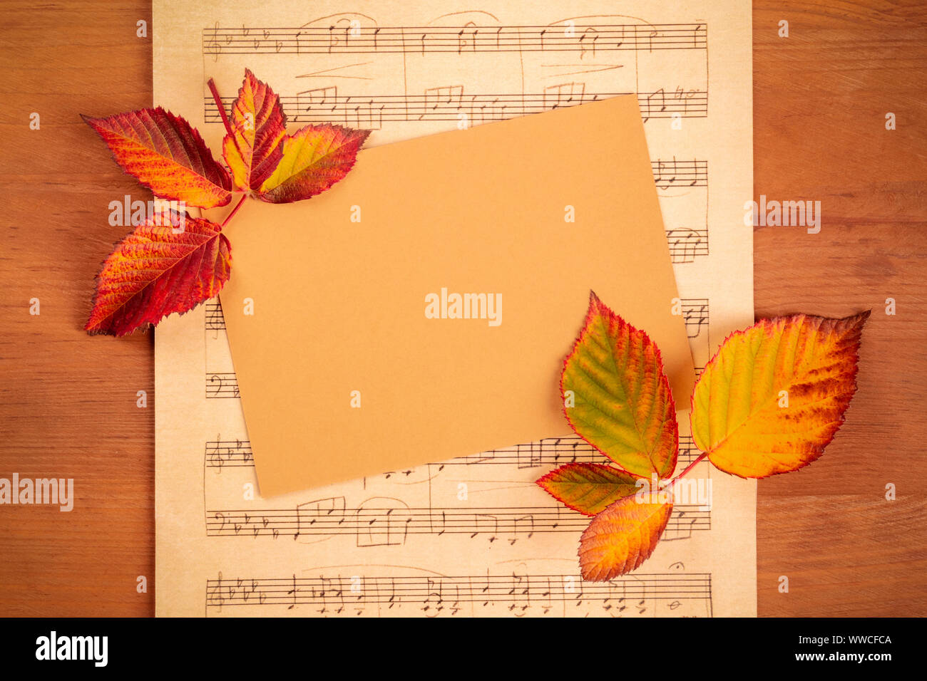 Music notes banner design hi-res stock photography and images - Alamy