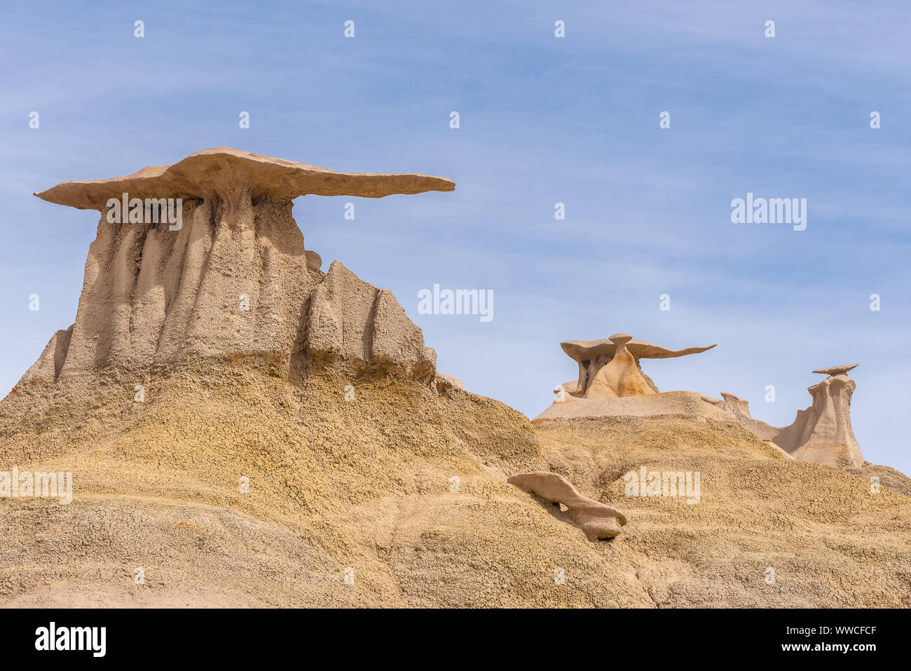 The Wings rock formation in Bisti Wilderness area, New Mexico, USA ...