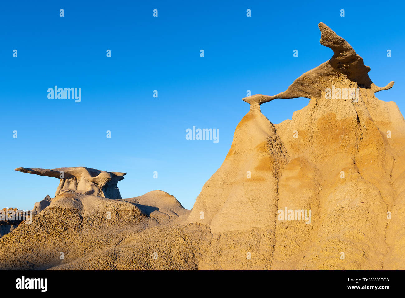 The Wings rock formation in Bisti Wilderness area, New Mexico, USA ...