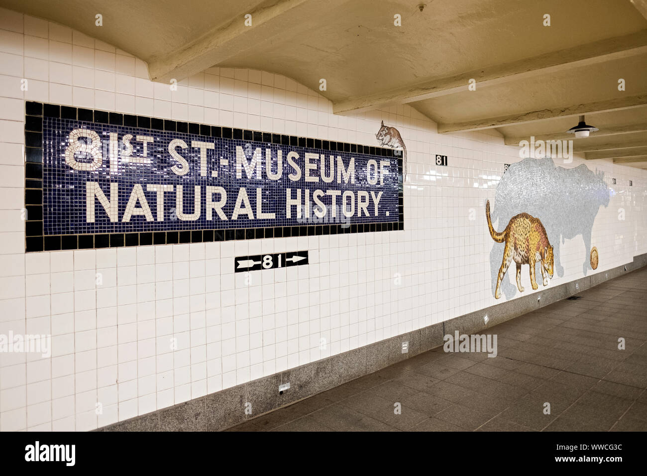 Thematic museum hi-res stock photography and images - Alamy