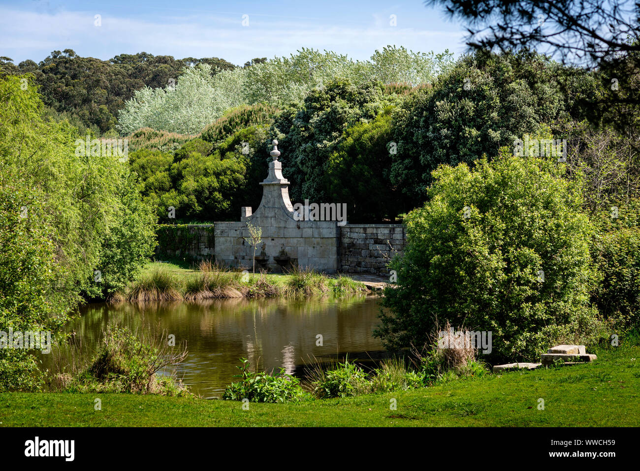 Parque de cidade do porto hi-res stock photography and images - Alamy