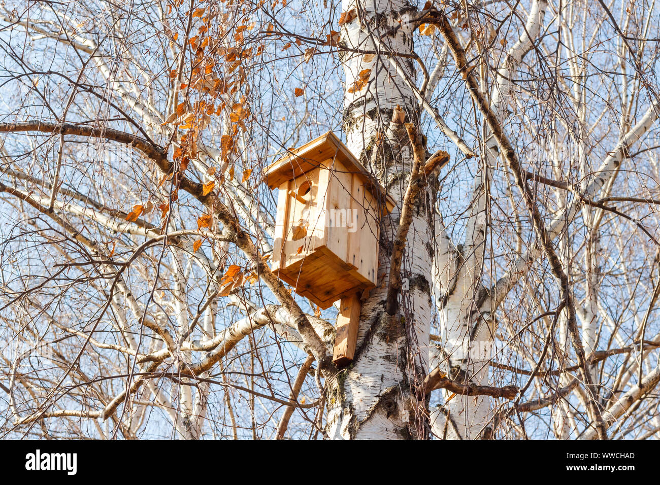 Spring box hi-res stock photography and images - Alamy