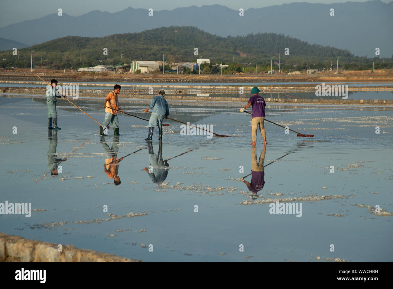 Salt harvesting hi-res stock photography and images - Alamy
