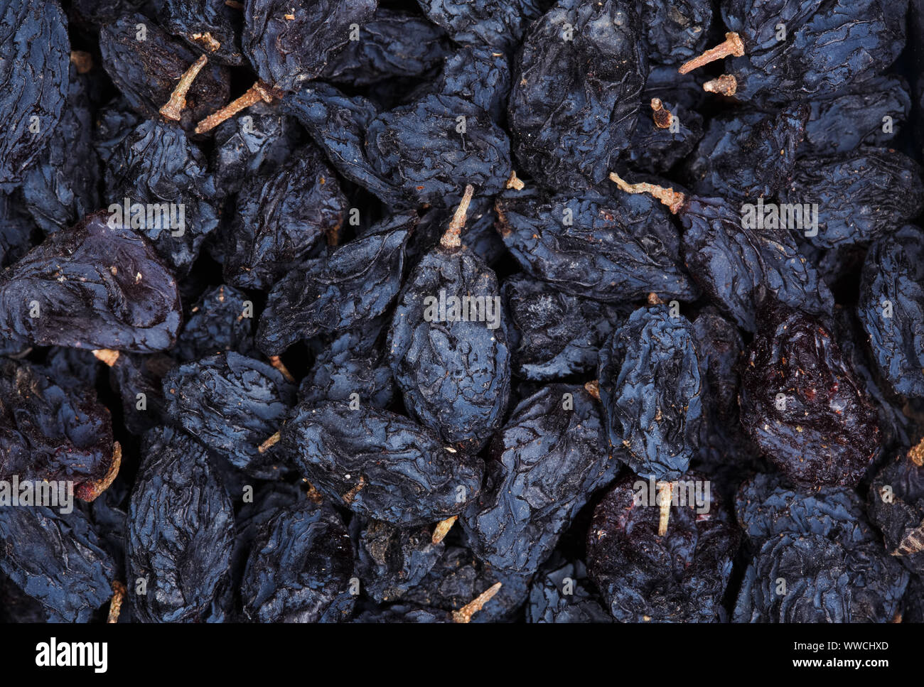 Texture from raisins. Can be used as background in art or design ...