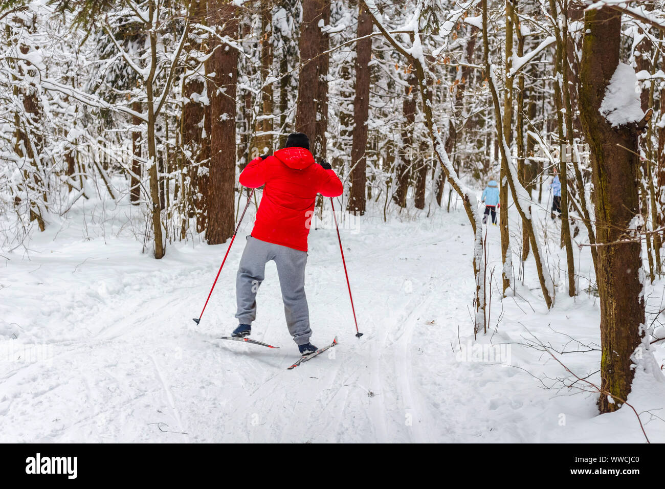 Man walk snow tree hi-res stock photography and images - Alamy