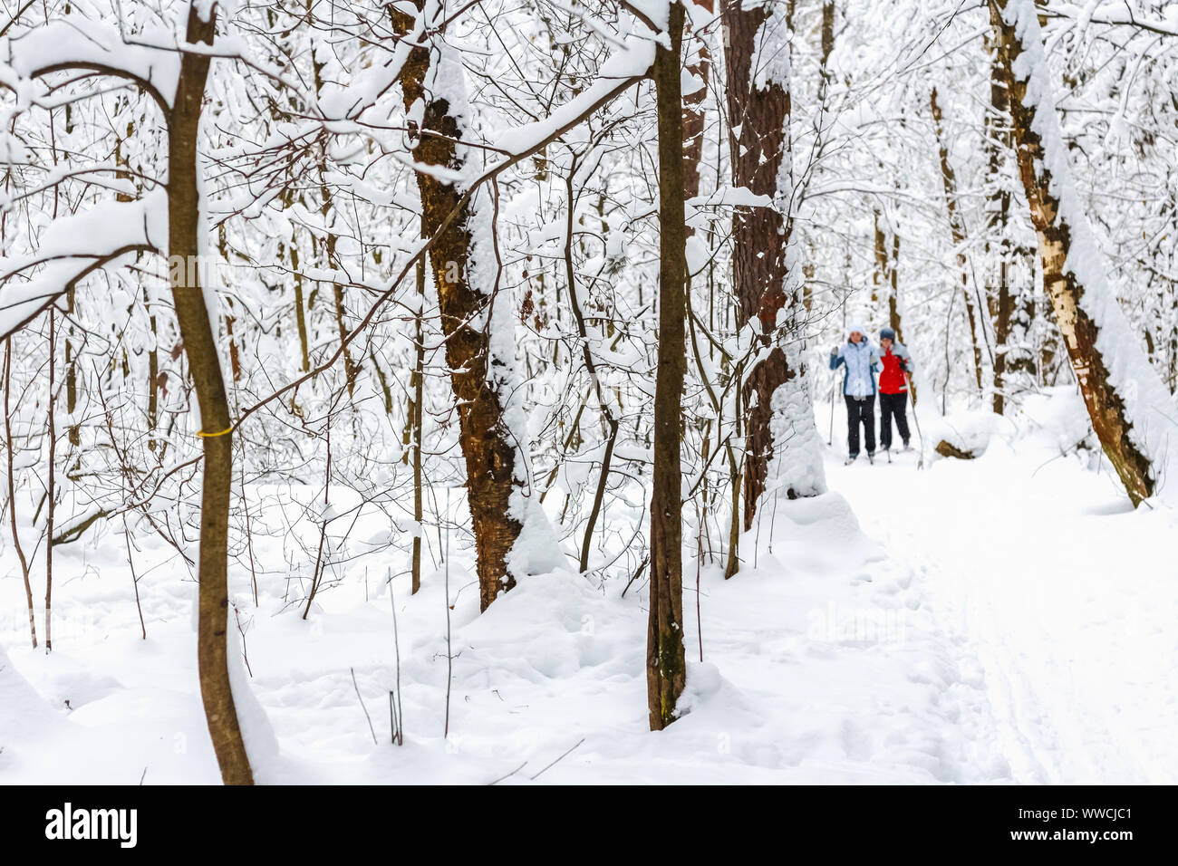 Walk winter country woman hi-res stock photography and images - Alamy