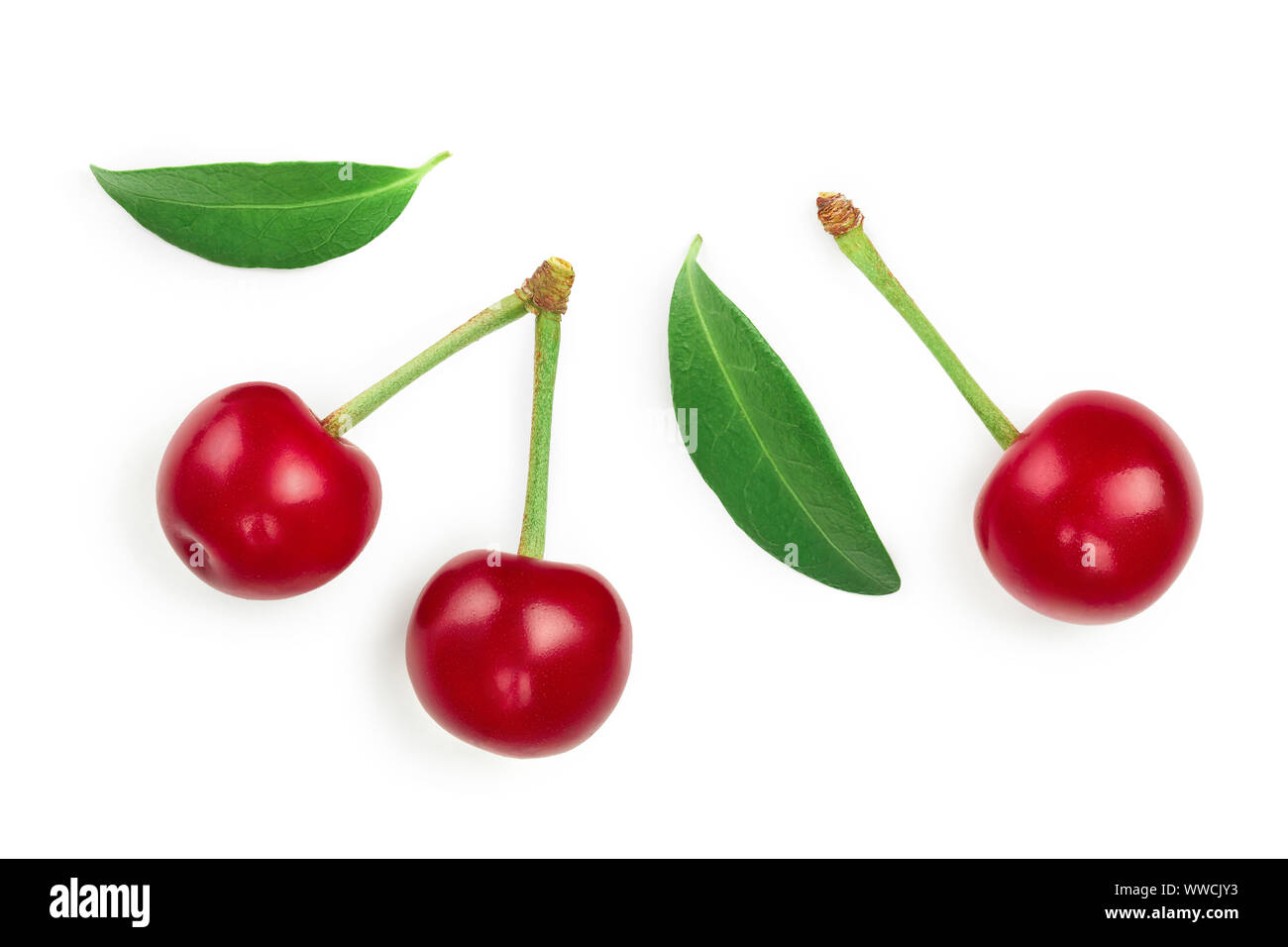 Three cherries with leaf closeup isolated on white background Stock ...