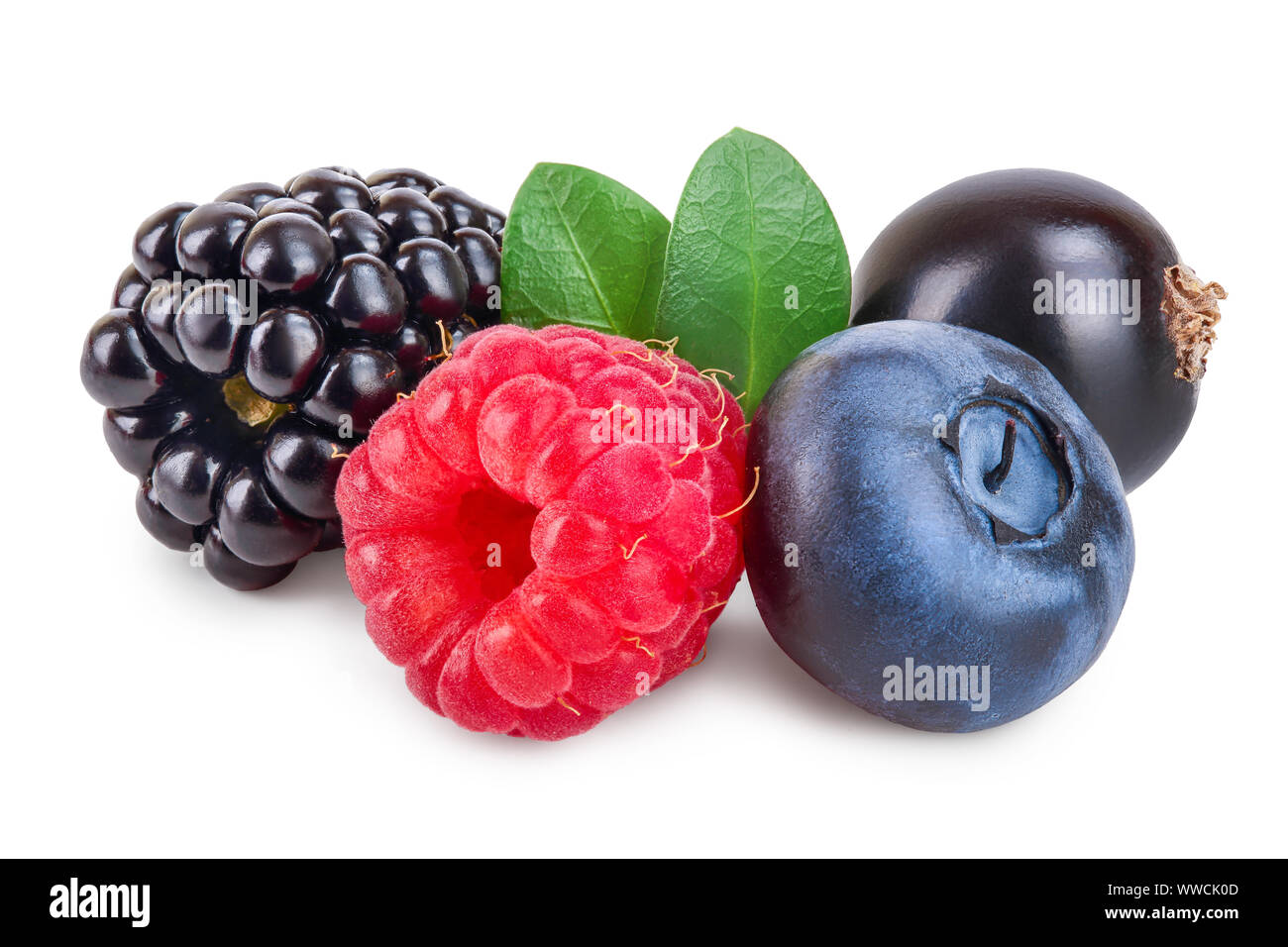 mix of blackberry blueberry raspberry with leaf isolated on white ...