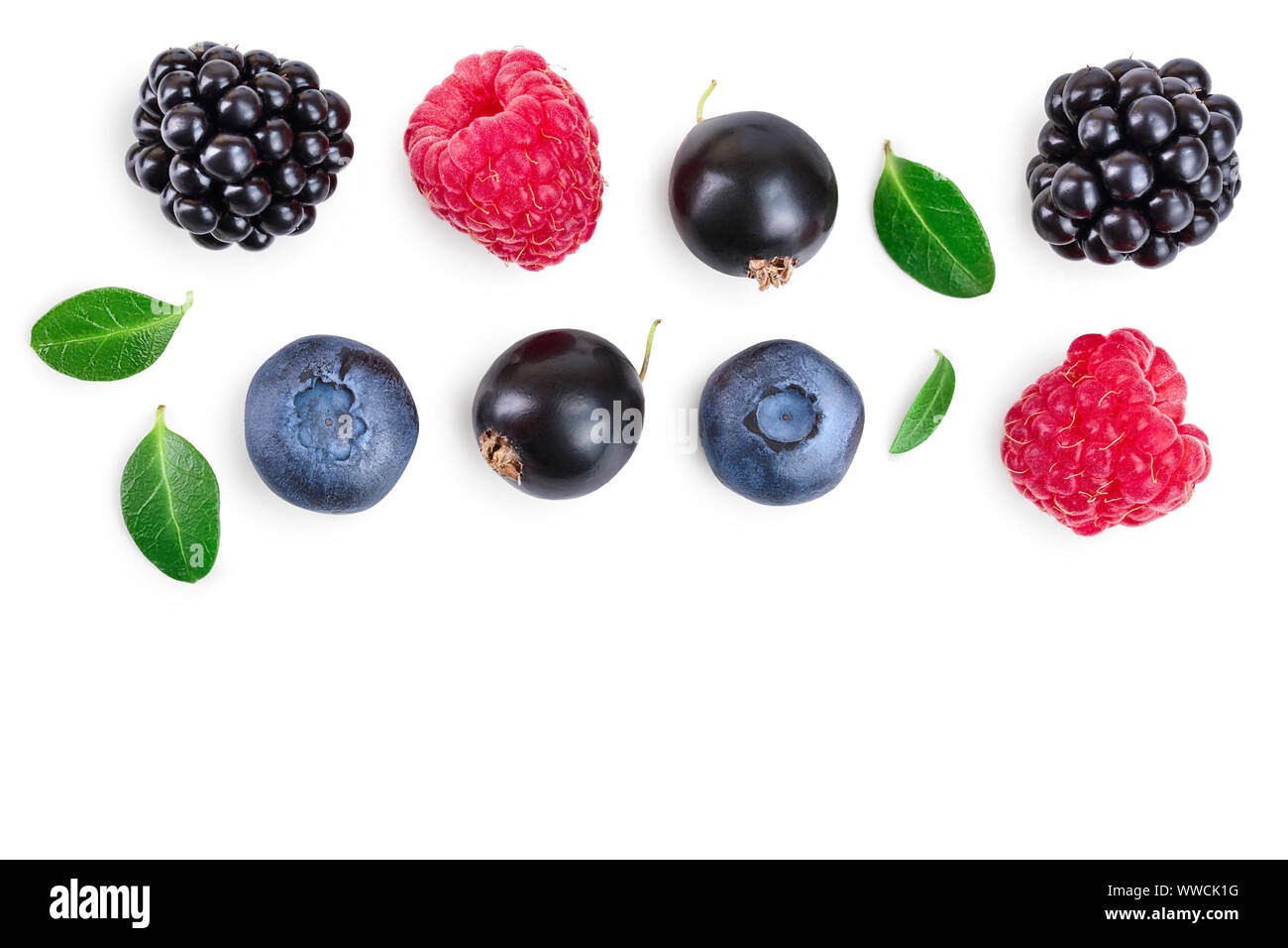 blackberry blueberry raspberry black currant isolated on white ...