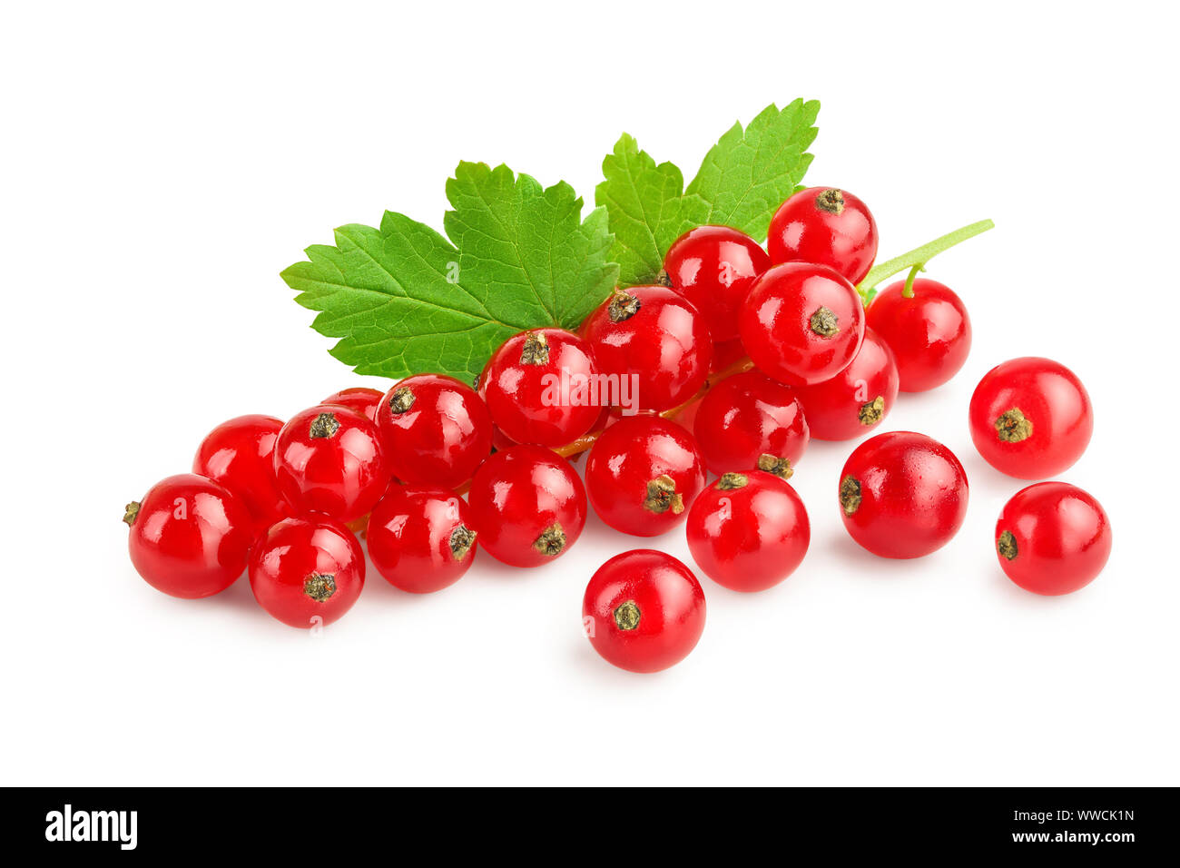 Red currant berries with leaf isolated on white background Stock Photo ...
