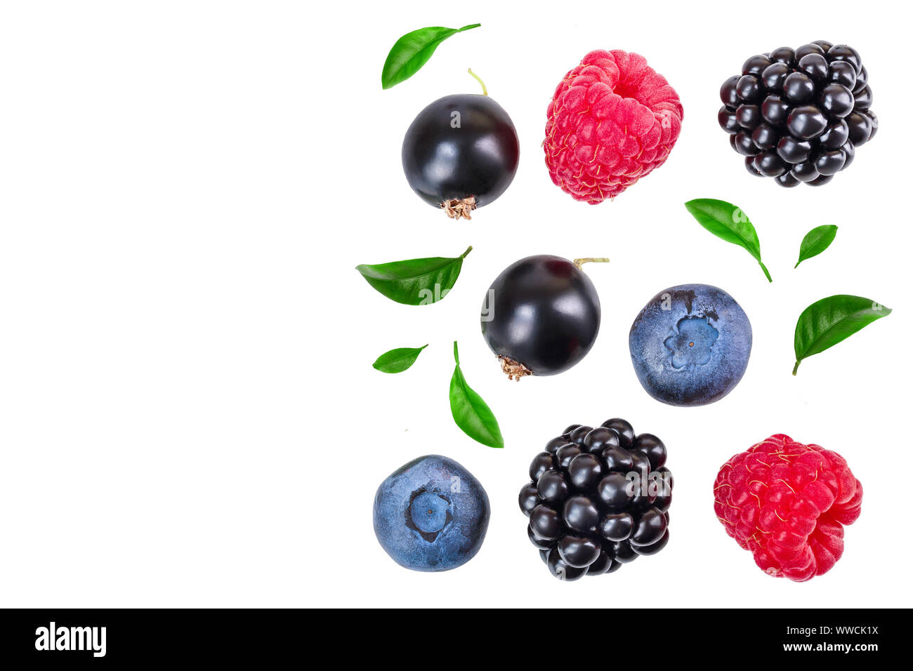 blackberry blueberry raspberry black currant isolated on white ...